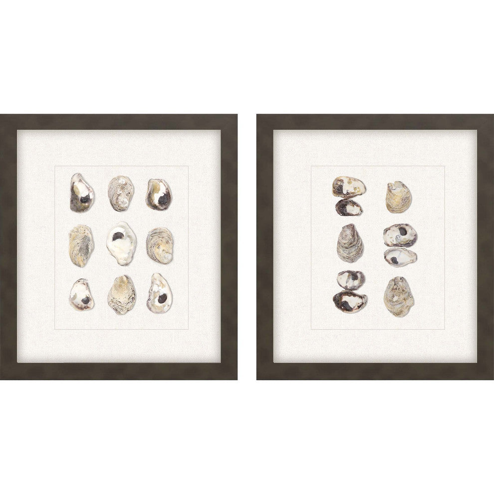 Shell Series Artwork 2-Piece Set