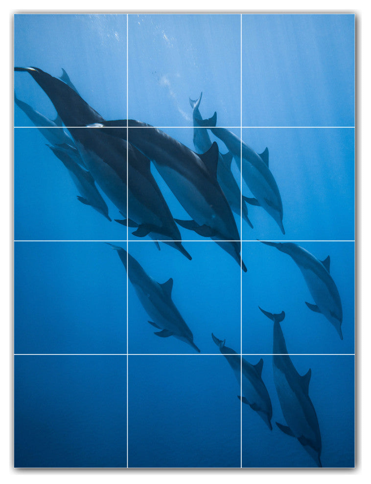 Dolphin Ceramic Tile Wall Mural HZ500510-34XL. 36" x 48"
