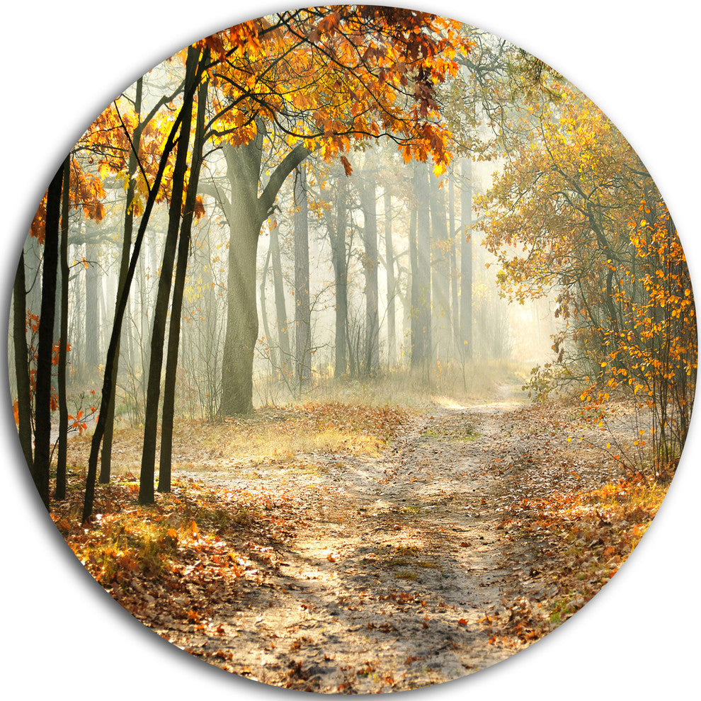 Bright Yellow Fall Morning Landscape Photo Disc Metal Artwork 23"