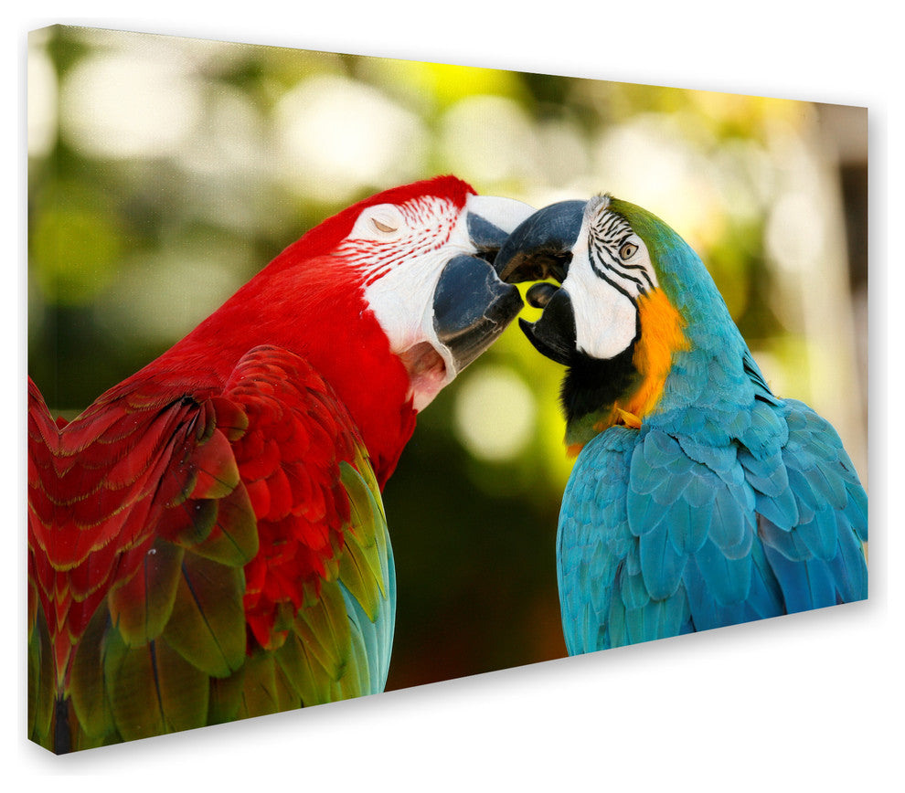 Mike Jones Photo 'The Kiss' Canvas Art, 22x32
