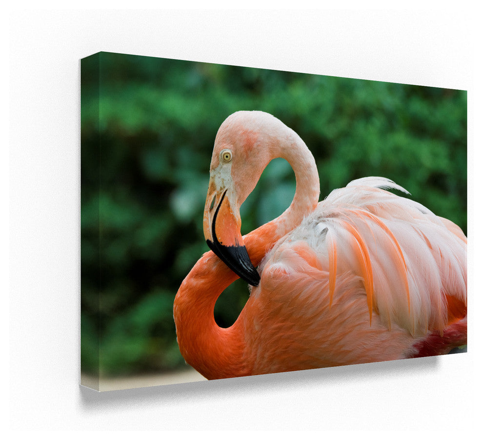 "Flamingo Center" by Robert Michaud, Canvas Art