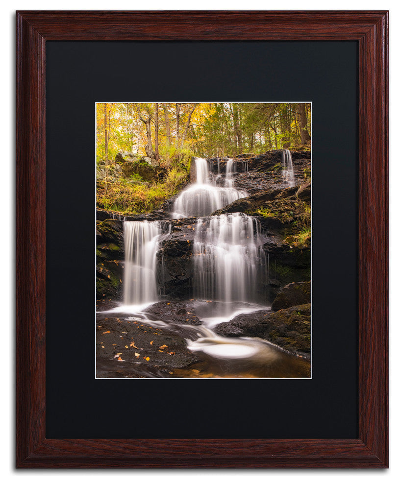 Michael Blanchette 'Autumn Horsetails' Art, Wood Frame, Black Mat, 20x