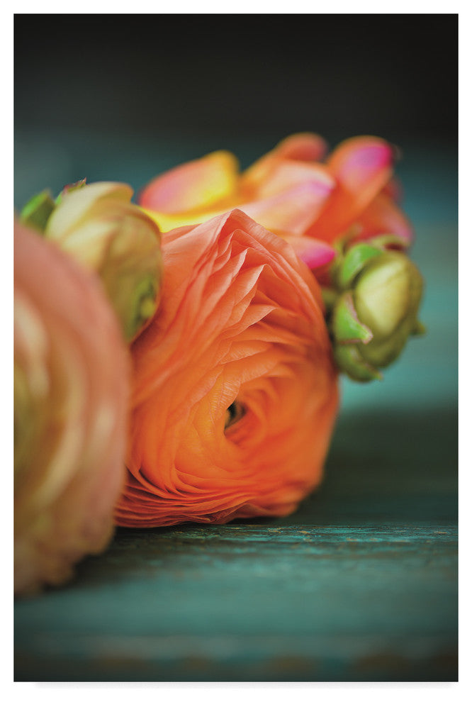 Christine Sainte-Laudy 'Spring Flowers On Blue Wood' Canvas Art, 30"x4