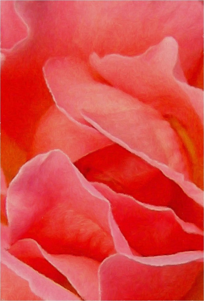 Our Original Collection Rose Petals Abstract, 18"x27" Wall Decal