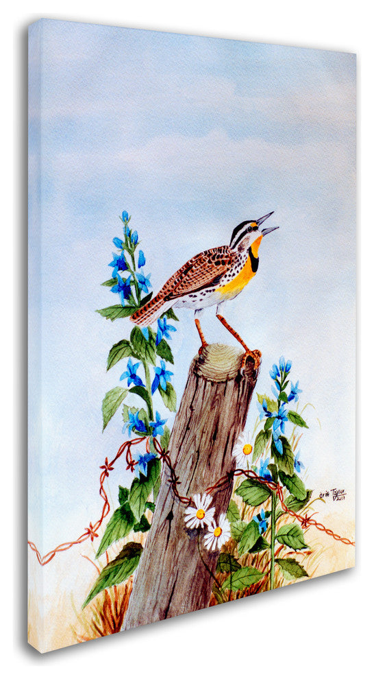 Arie Reinhardt Taylor 'Meadowlark 2' Canvas Art, 24x16
