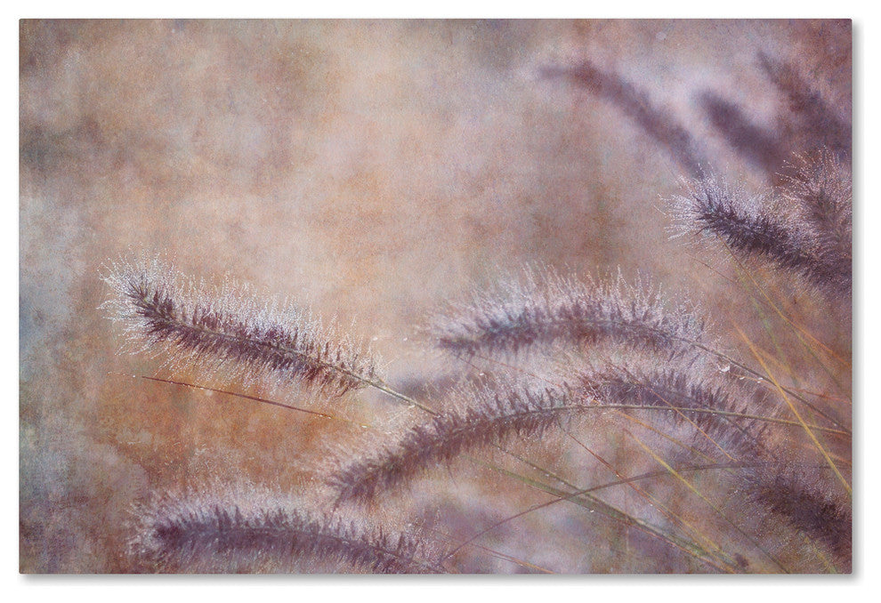 Cora Niele 'Dew Fox Tail Grass' Canvas Art