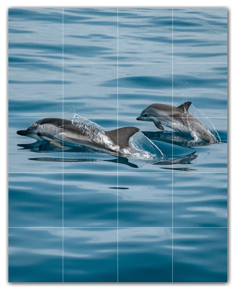 Dolphin Ceramic Tile Wall Mural Hz500500-45l. 32" X 40"