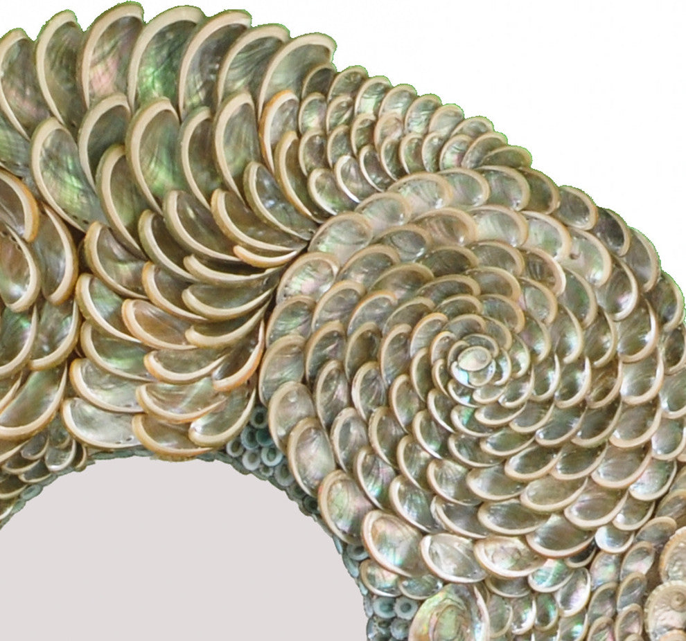 Silver Abalone Sea Shell Mirror