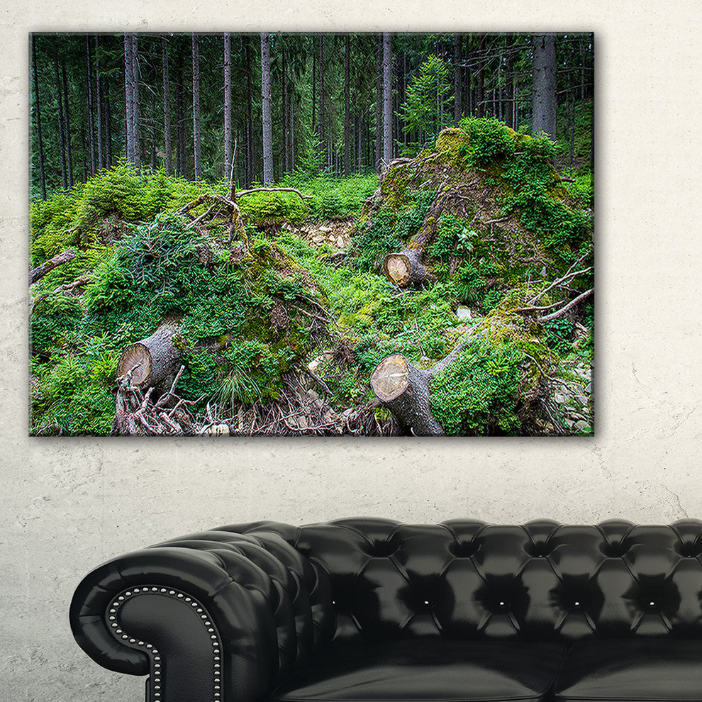 "Wild Deep Forest Rocks And Hills" Landscape Art Print Canvas, 40"x20"
