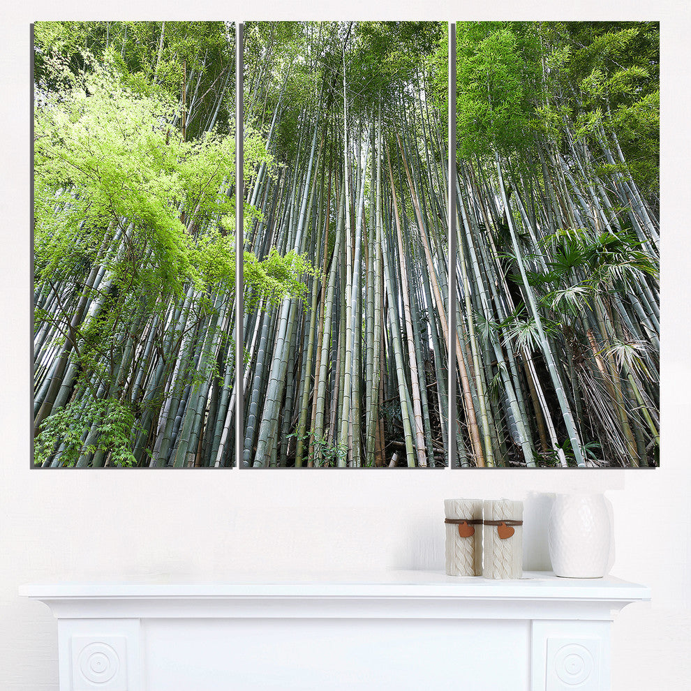 "Dense Bamboo Forest of Japan" Forest Metal Wall Art, 3 Panels, 36"x28