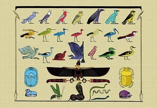 Birds and Other Creatures From Egyptian Monuments - Fine Art Giclee Pr