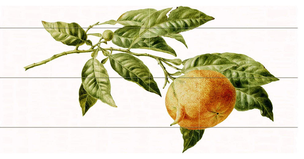 Tile Mural Mandarin Branch Leaves Kitchen Backsplash Four Inch Marble