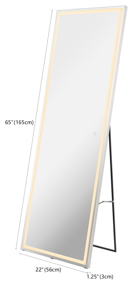 65 X 22 Mirror