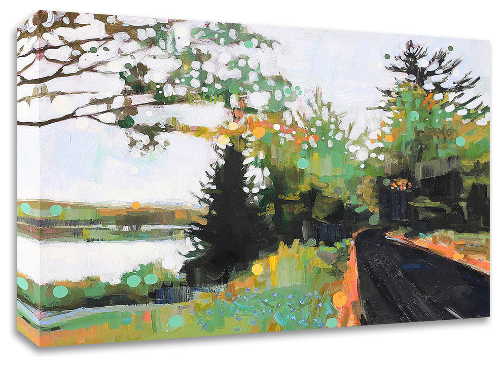 Star Splitter by Adam Swanson, Print on Canvas, Ready to Hang
