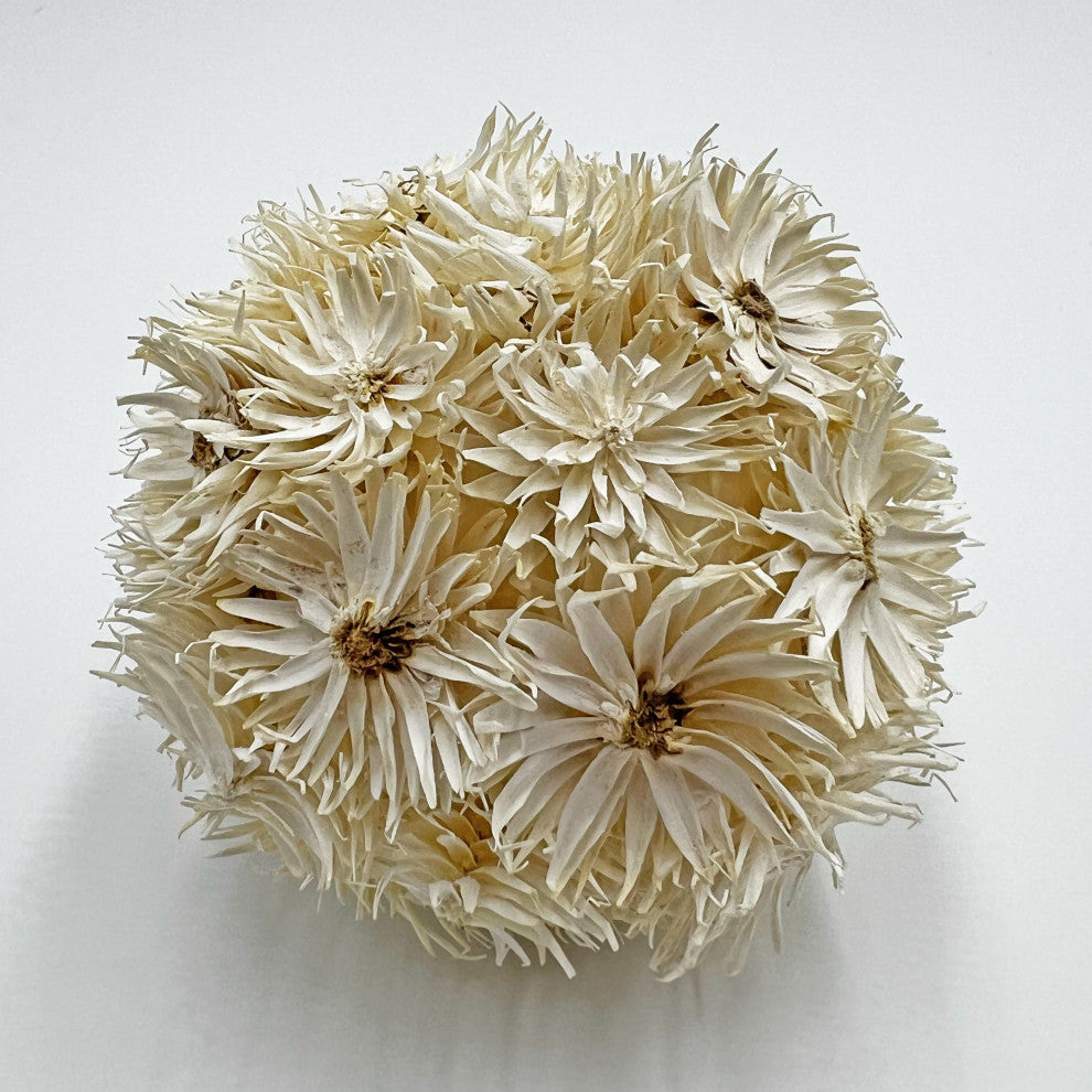 Preserved Conifer Pinecone Topiary Balls, Beige, Conifer Pinecone