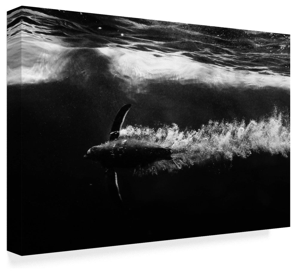 Semir Catovic 'Penguin' Canvas Art, 24"x16"
