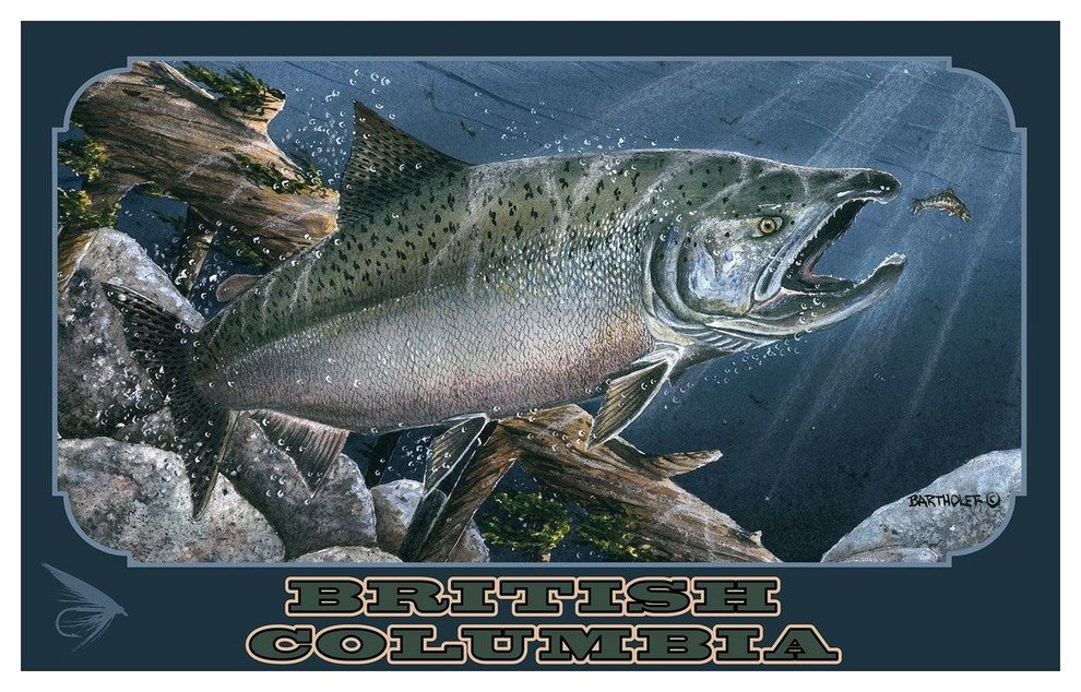 Dave Bartholet British Columbia Canada Salmon Art Print, 24"x36"