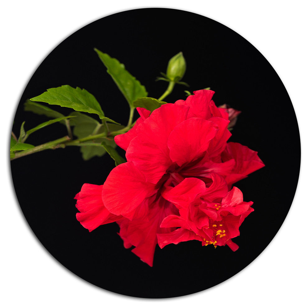 Bright Red Hibiscus On Black Flower Disc Metal Wall Art 23"