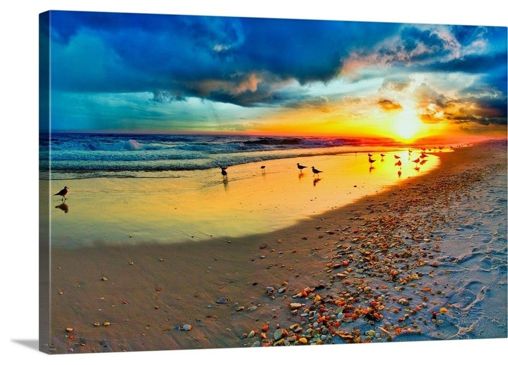 Blue Sunset Landscape Beach Shells Birds Wrapped Canvas Art Print, 48"