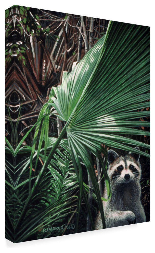 Ron Parker 'Everglades Raccoon' Canvas Art, 32"x24"