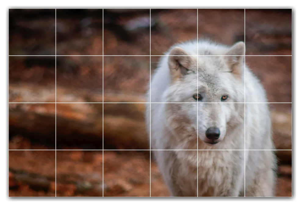 Wolf Ceramic Tile Wall Mural HZ501242-64L. 48" x 32"