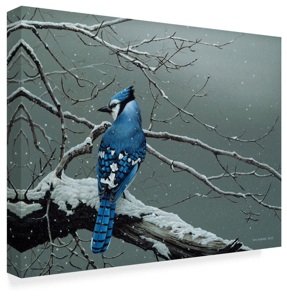 Ron Parker 'Winter Jay' Canvas Art, 32"x24"