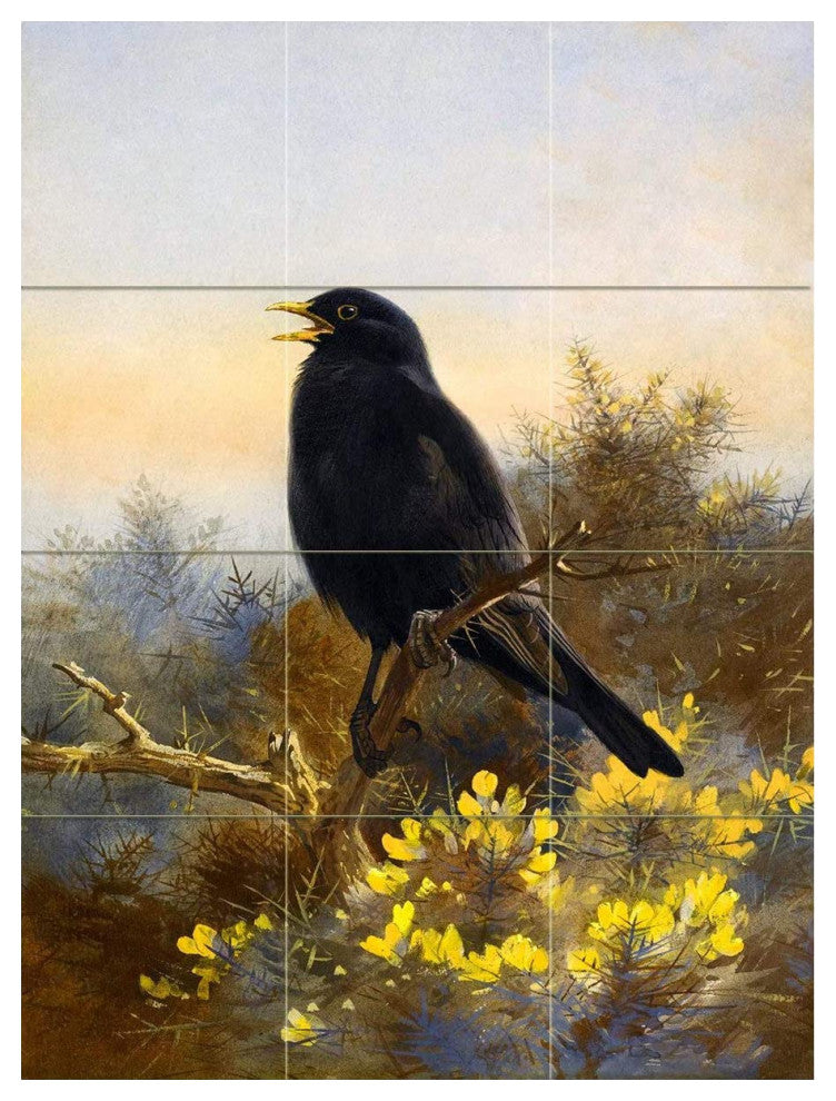 Tile Mural BLACKBIRD bird branch bush Kitchen Backsplash 6" Ceramic Ma