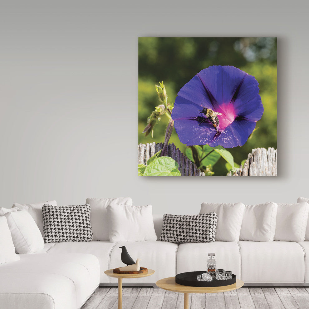 Kurt Shaffer 'The Bumblebee And The Morning Glory' Canvas Art