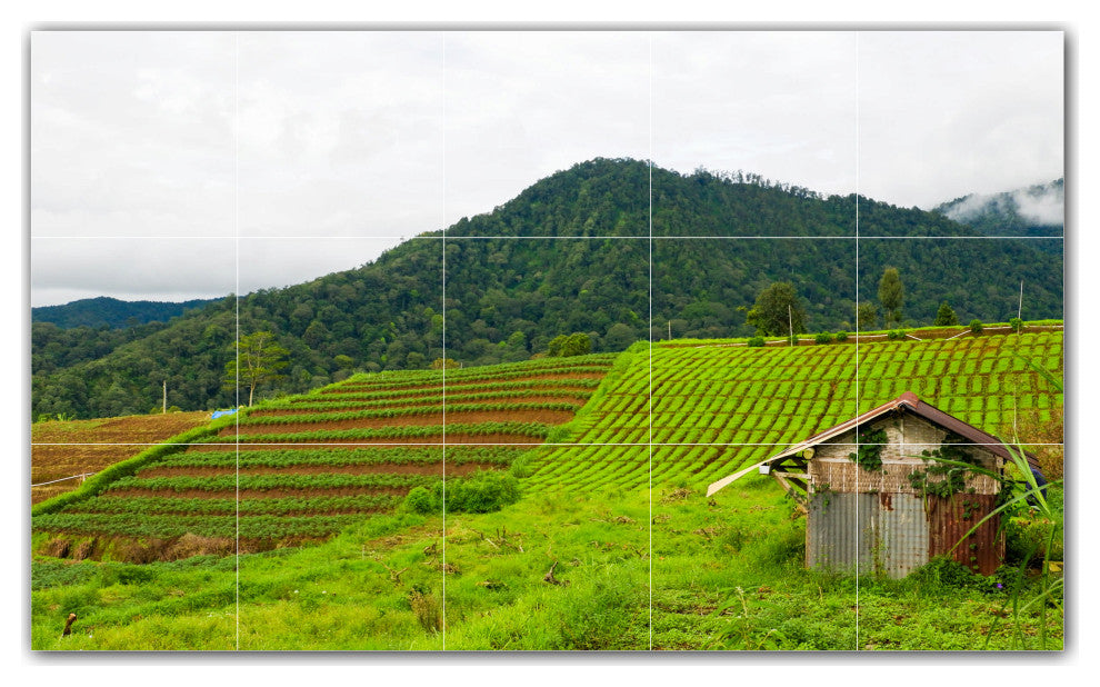 Farm Ceramic Tile Wall Mural HZ500570-53M. 30" x 18"