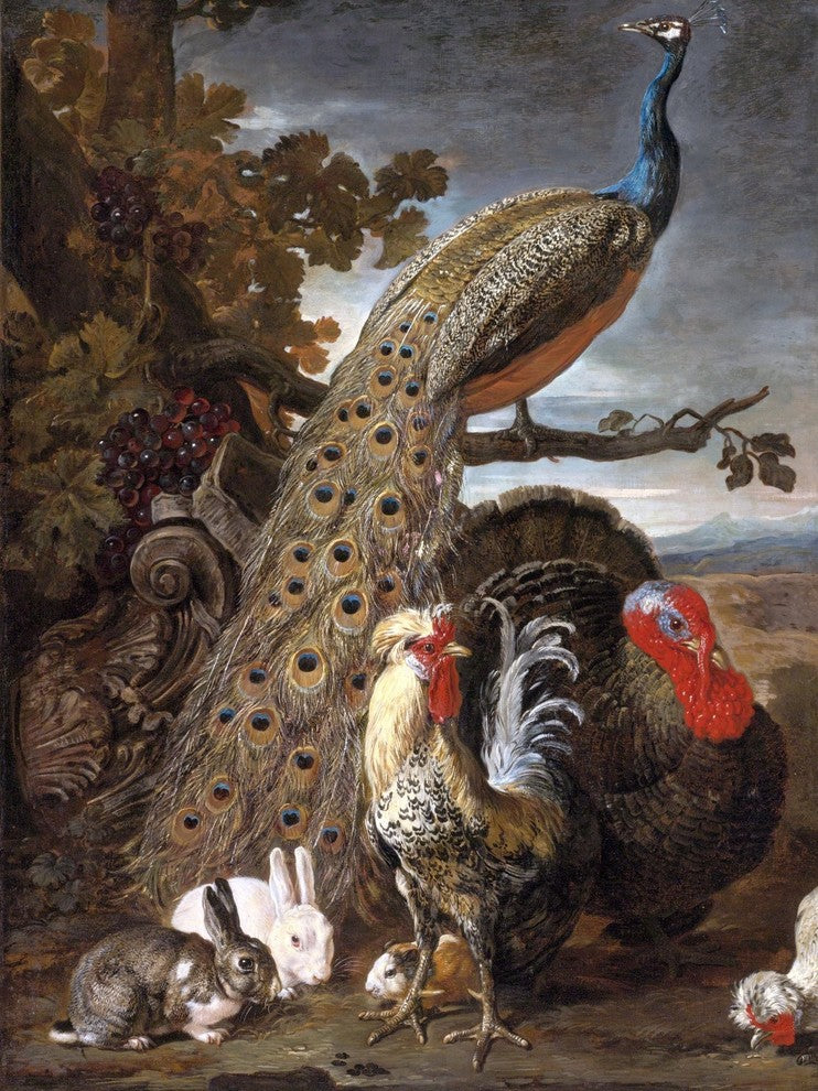 Tile Mural A Peacock Turkey Rabbits By David De Coninck, 6"x8", Glossy