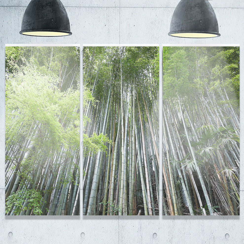 "Dense Bamboo Forest of Japan" Forest Metal Wall Art, 3 Panels, 36"x28