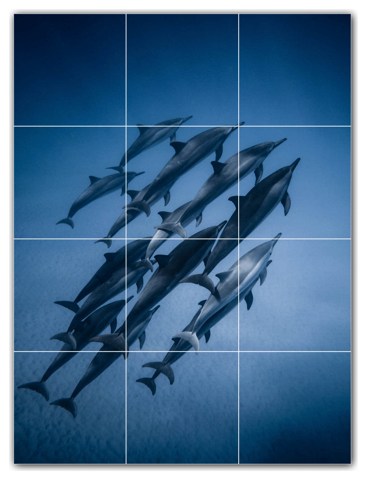 Dolphin Ceramic Tile Wall Mural HZ500509-34M. 18" x 24"