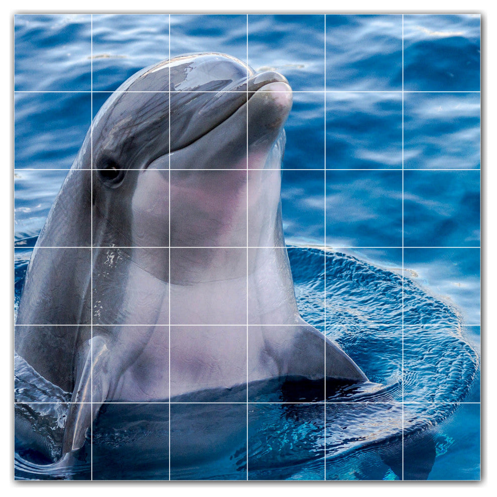 Dolphin Ceramic Tile Wall Mural HZ500495-66L. 48" x 48"