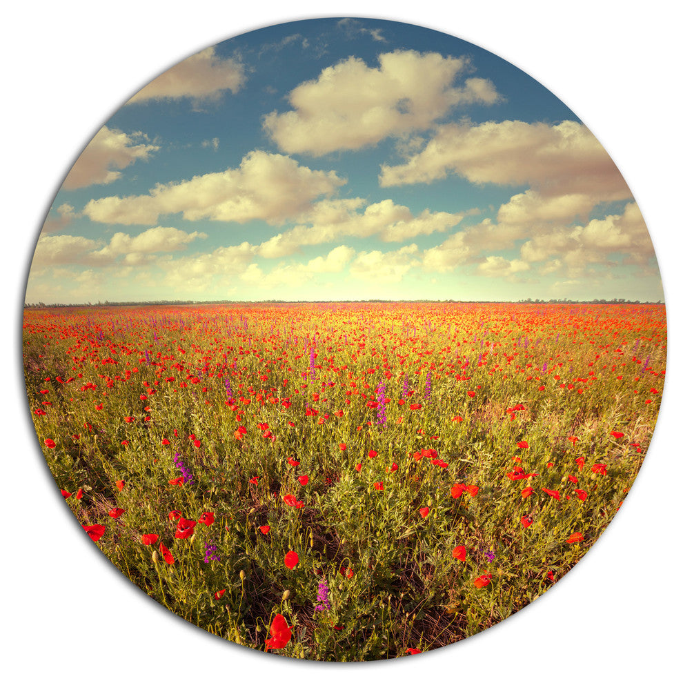 Poppy Filed Under Bright Sky, Floral Disc Metal Artwork, 11"