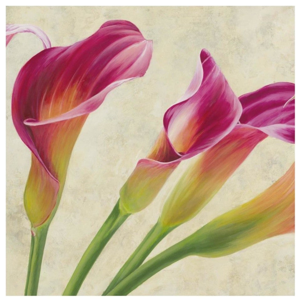 "calla Parade Ii" Digital Paper Print By Luca Villa 26"x26"