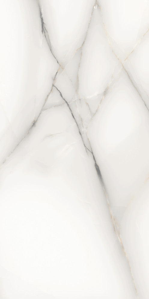 24"x48" Porcelain Marble Look High Glossy Wall and Floor Tile