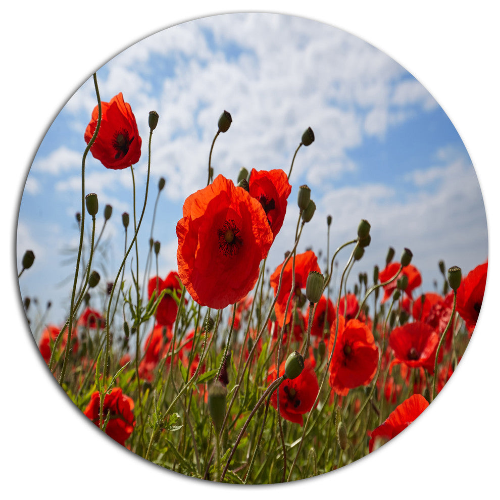 Bright Red Poppy Flowers Photo Flower Disc Metal Wall Art 36"