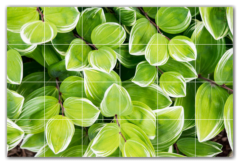 Trees Ceramic Tile Wall Mural HZ501010-64M. 36" x 24"