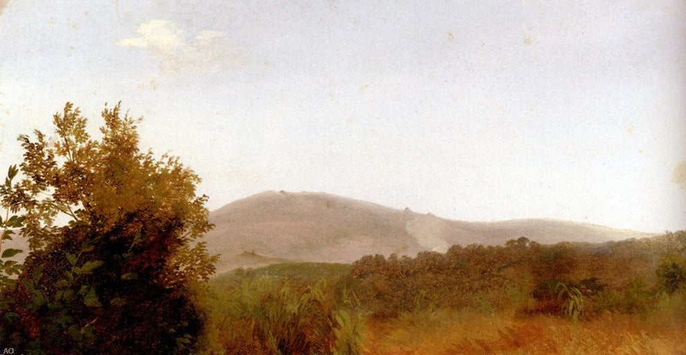 Giovanni-Battista Camuccini A Panoramic Landscape View Wall Decal