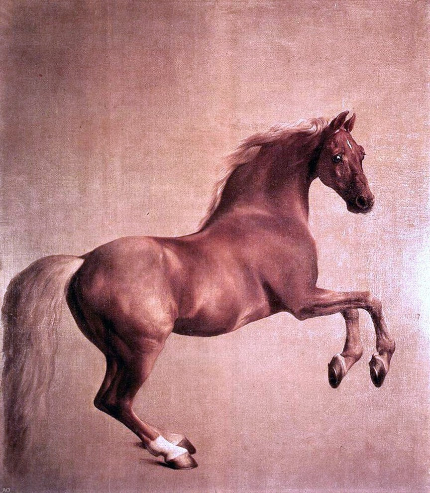 George Stubbs Whistlejacket, 20"x25" Wall Decal