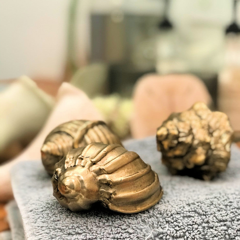 Golden Shell Accent Sculptures, 3 Piece Set
