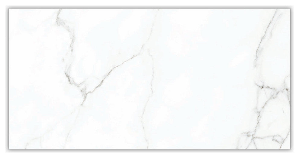 Rapsodia Bellezza Bianca Polished 24x48 Porcelain Tile