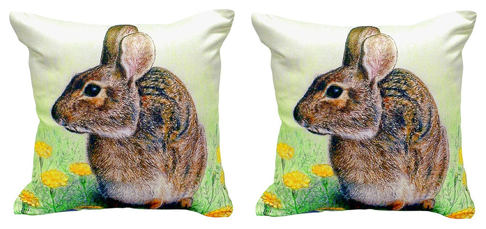 Pair of Betsy Drake Rabbit No Cord Pillows 18 Inch X 18 Inch