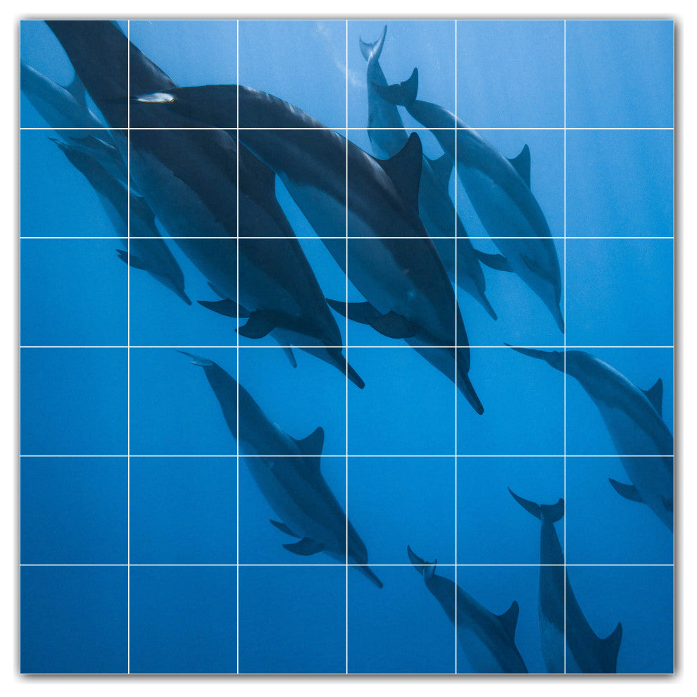 Dolphin Ceramic Tile Wall Mural HZ500510-66XL. 72" x 72"