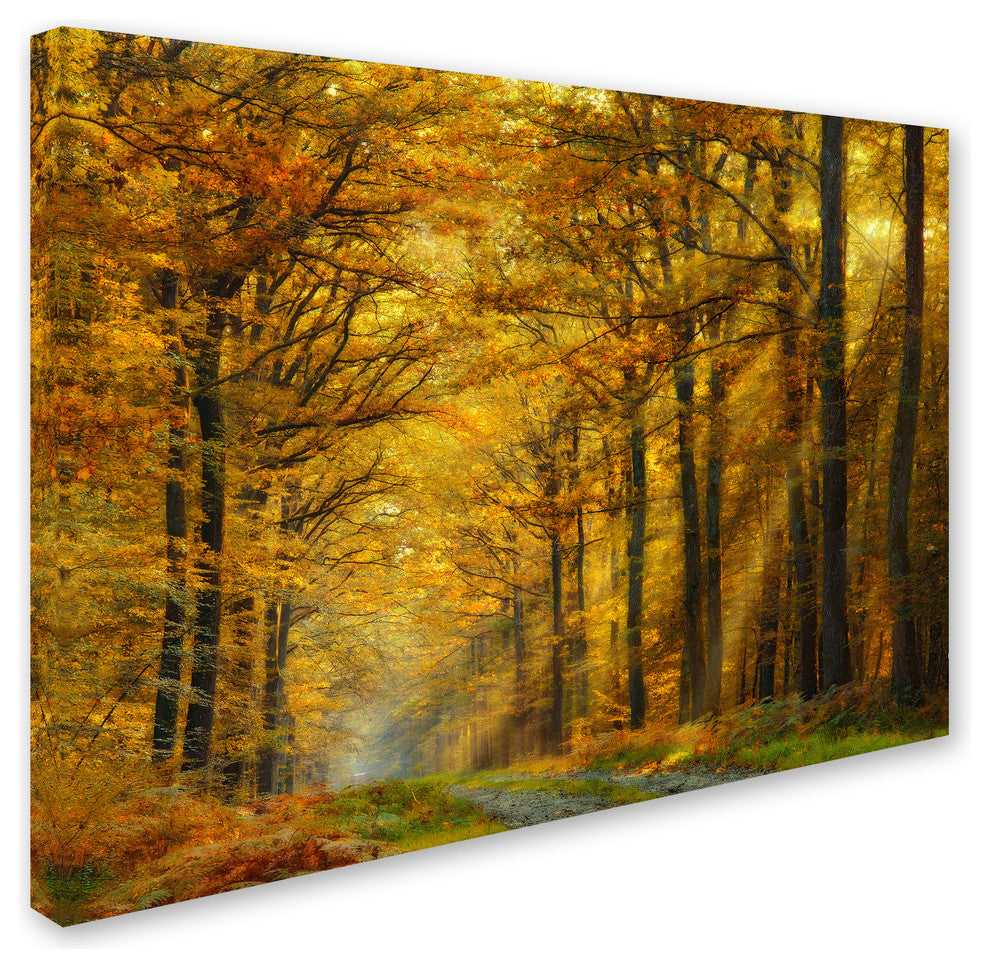 Marianna Safronova 'Enchanted Forest' Canvas Art, 24x18