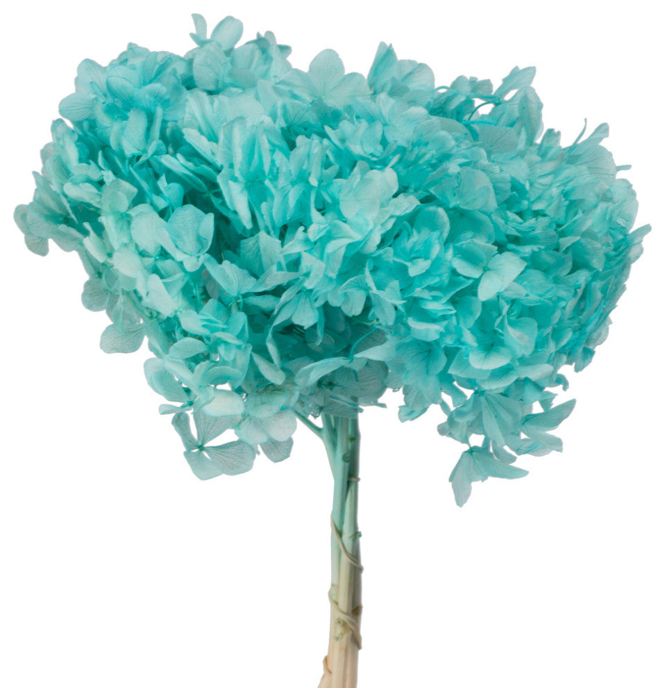Vickerman Natural Botanicals 15 Hydrangea With Multiple Branch Segment