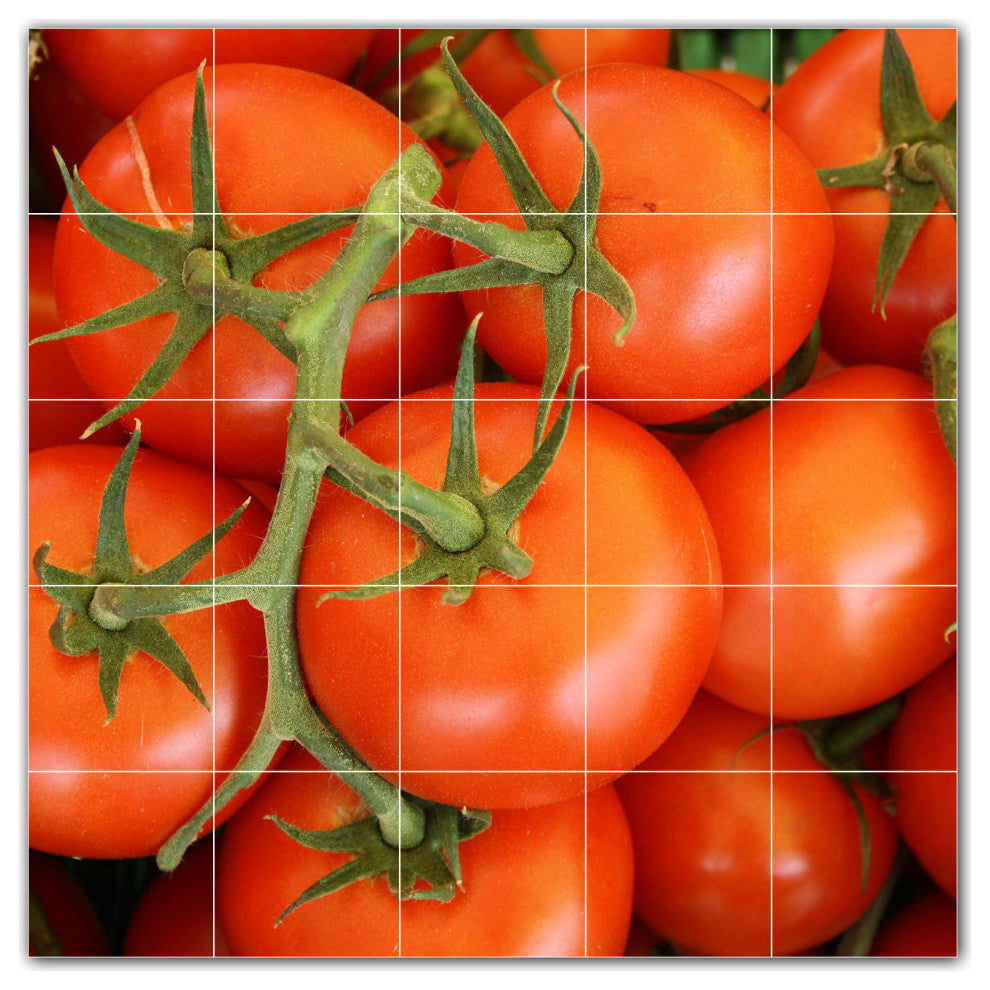 Fruit Ceramic Tile Wall Mural HZ500678-55L. 40" x 40"