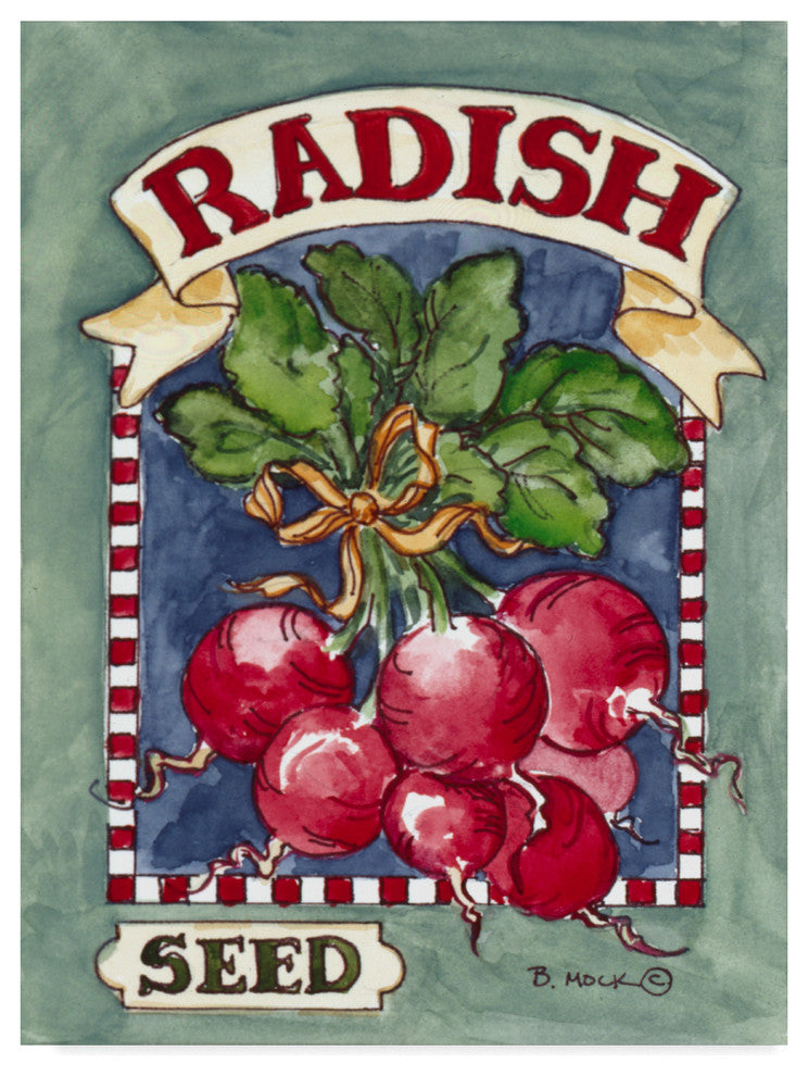 Barbara Mock 'Large Radish Seed Packet' Canvas Art