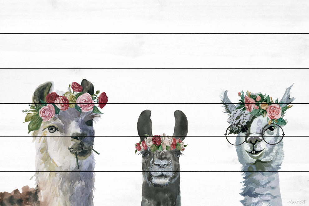 "Flower-Crowned Llamas" Painting Print on White Wood, 30x20