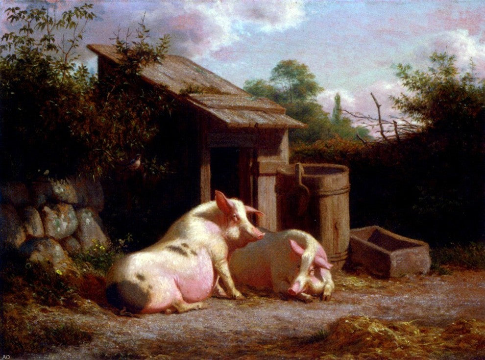 Carl Henrik Bogh Pigs in a Farmyard - 21" x 28" Premium Canvas Print